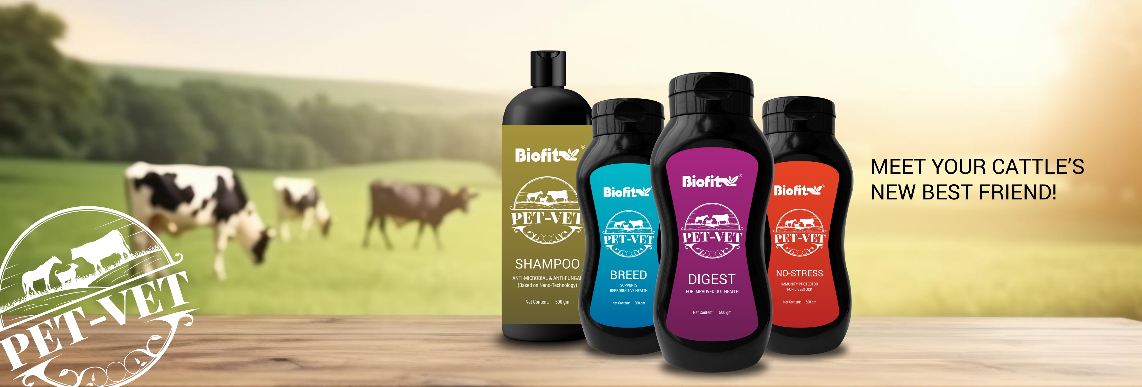 Netsurf direct, a leading direct selling company in India