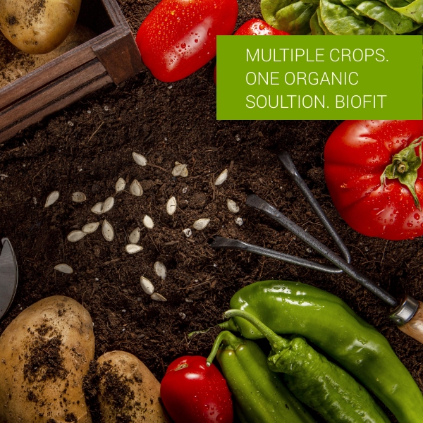 Netsurf direct, a leading direct selling company in India