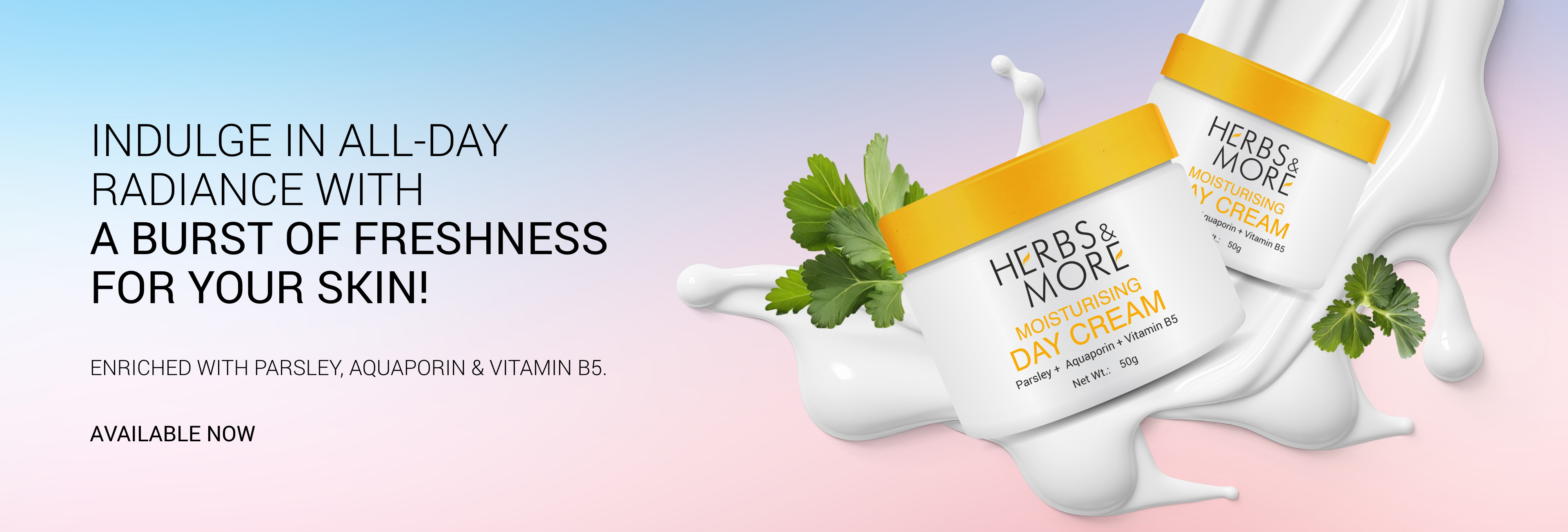 Netsurf direct, a leading direct selling company in India